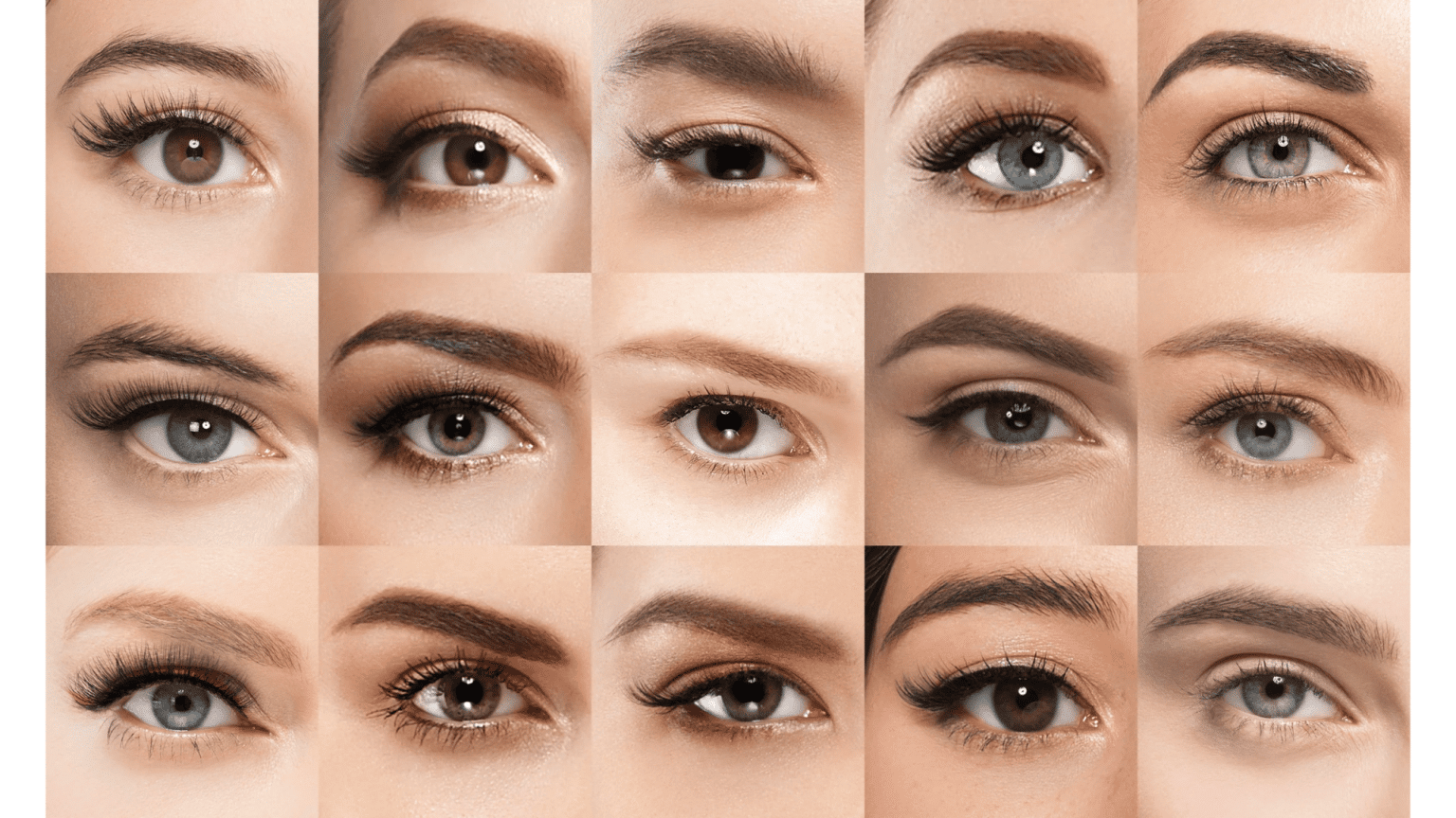 Different Eye Shapes for Females Explained - Beauty And Blog